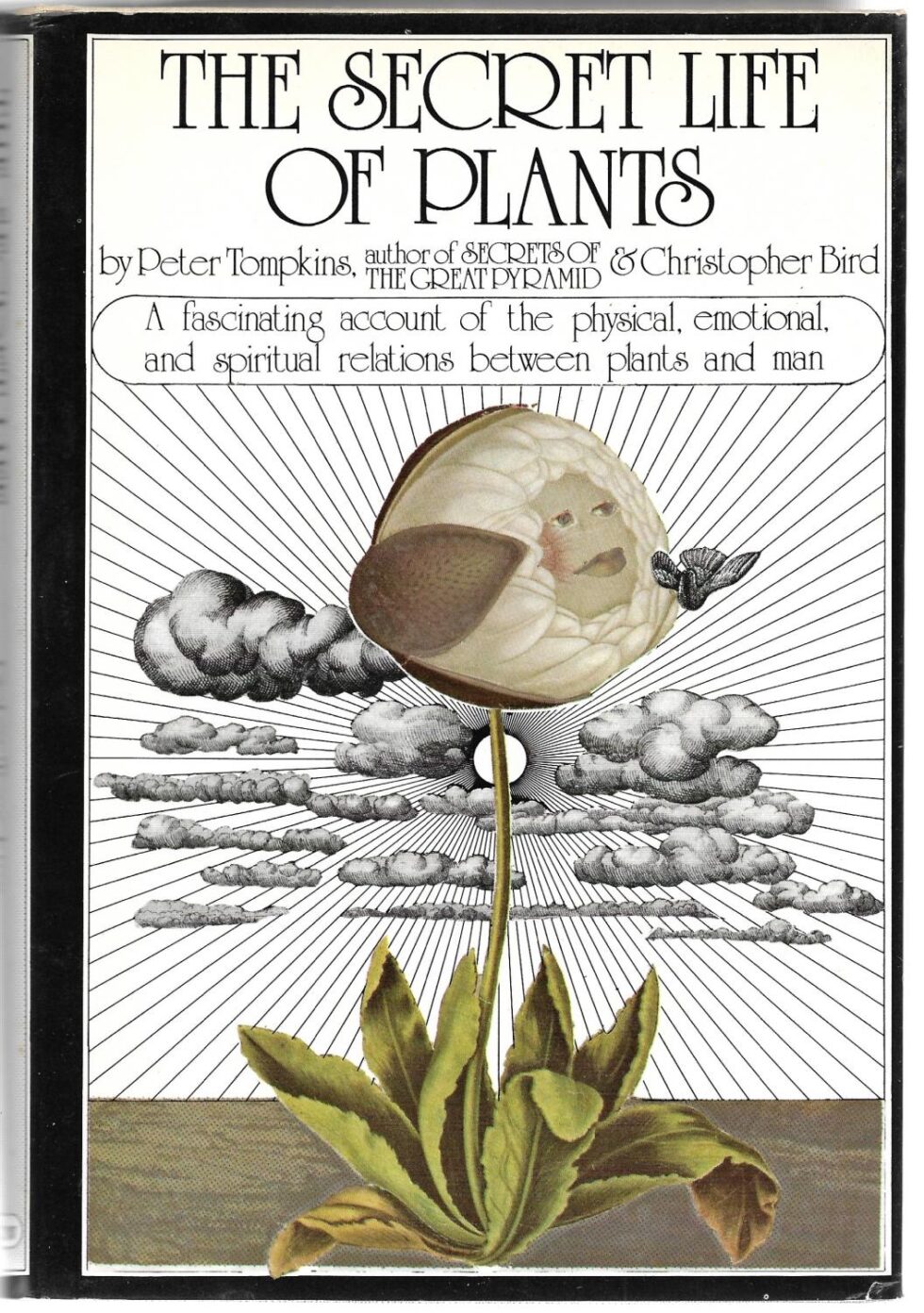 Unveiling the Enigma of Cleve Backster: From Polygraph Pioneer to Plant ...